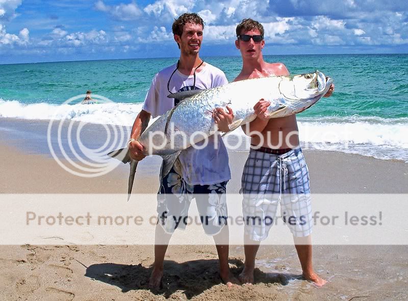 Big Tarpon from the Beach - Video & Pix - Boatless Fishing Forum ...