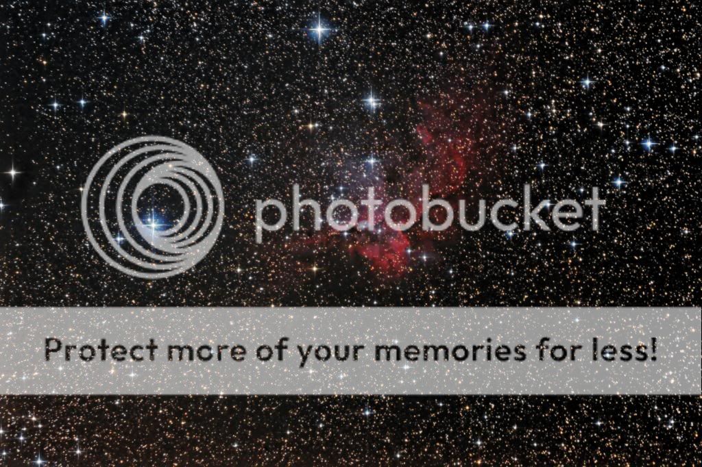 Daily Random Photos - ONE PIX PER DAY (Canon, sx10, bird) - Photography ...